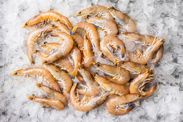All About King Prawns: Your guide to seafood royalty – Sydney Fish Market