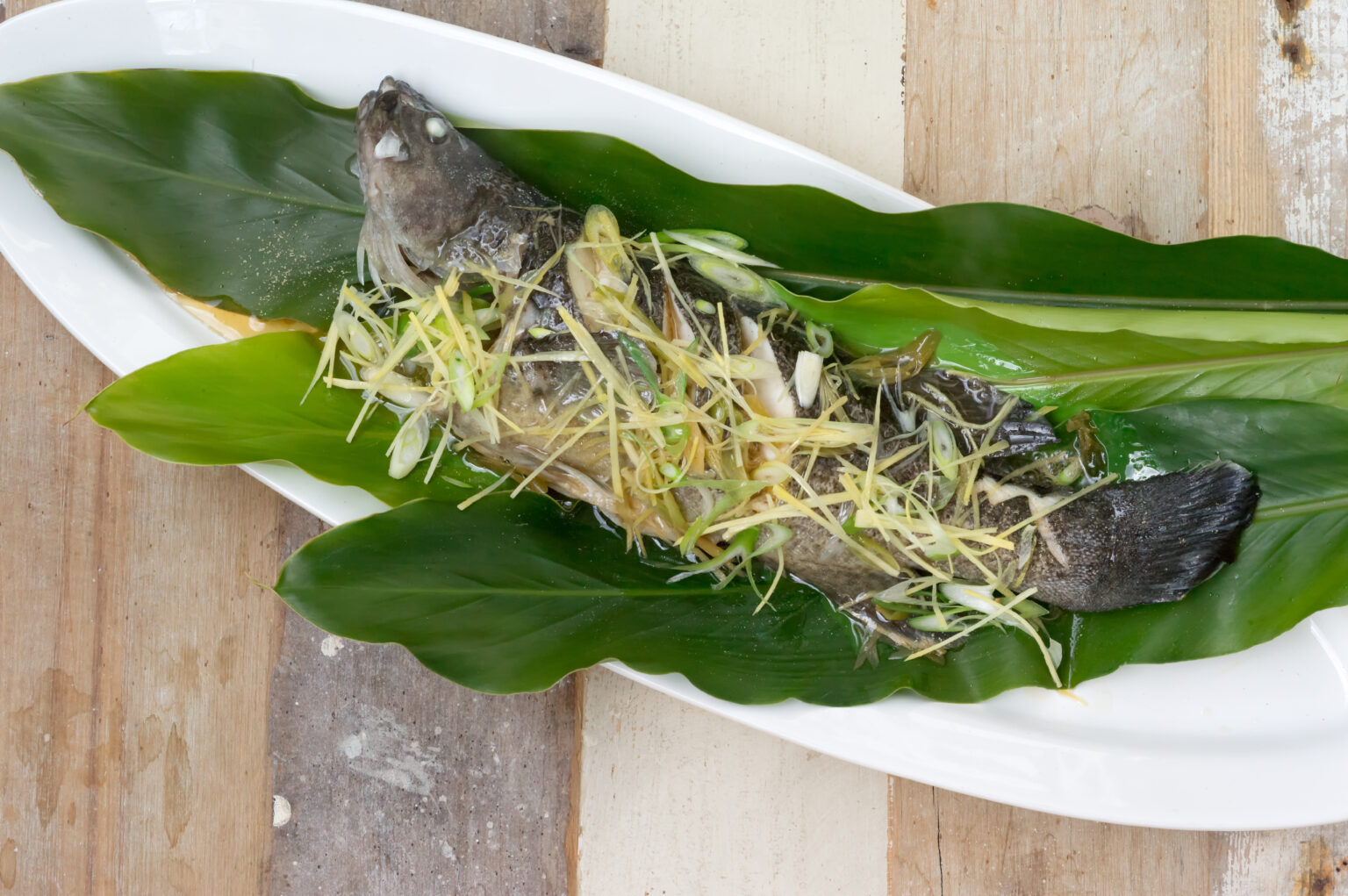 Murray Cod - Sydney Fish Market